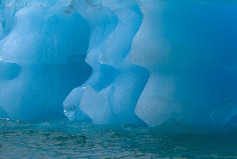 Blue Iceberg, Tracy Arm, Alaska - Betty Sederquist Photography