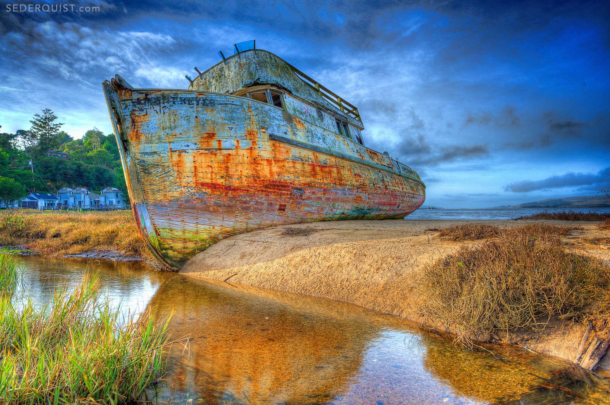 Point Reyes - Betty Sederquist Photography